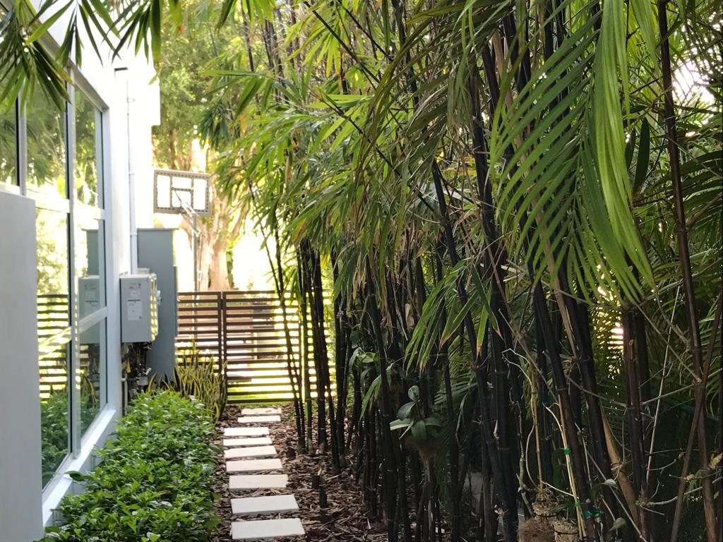 South Florida Landscaping Services | Green Earth Environmental