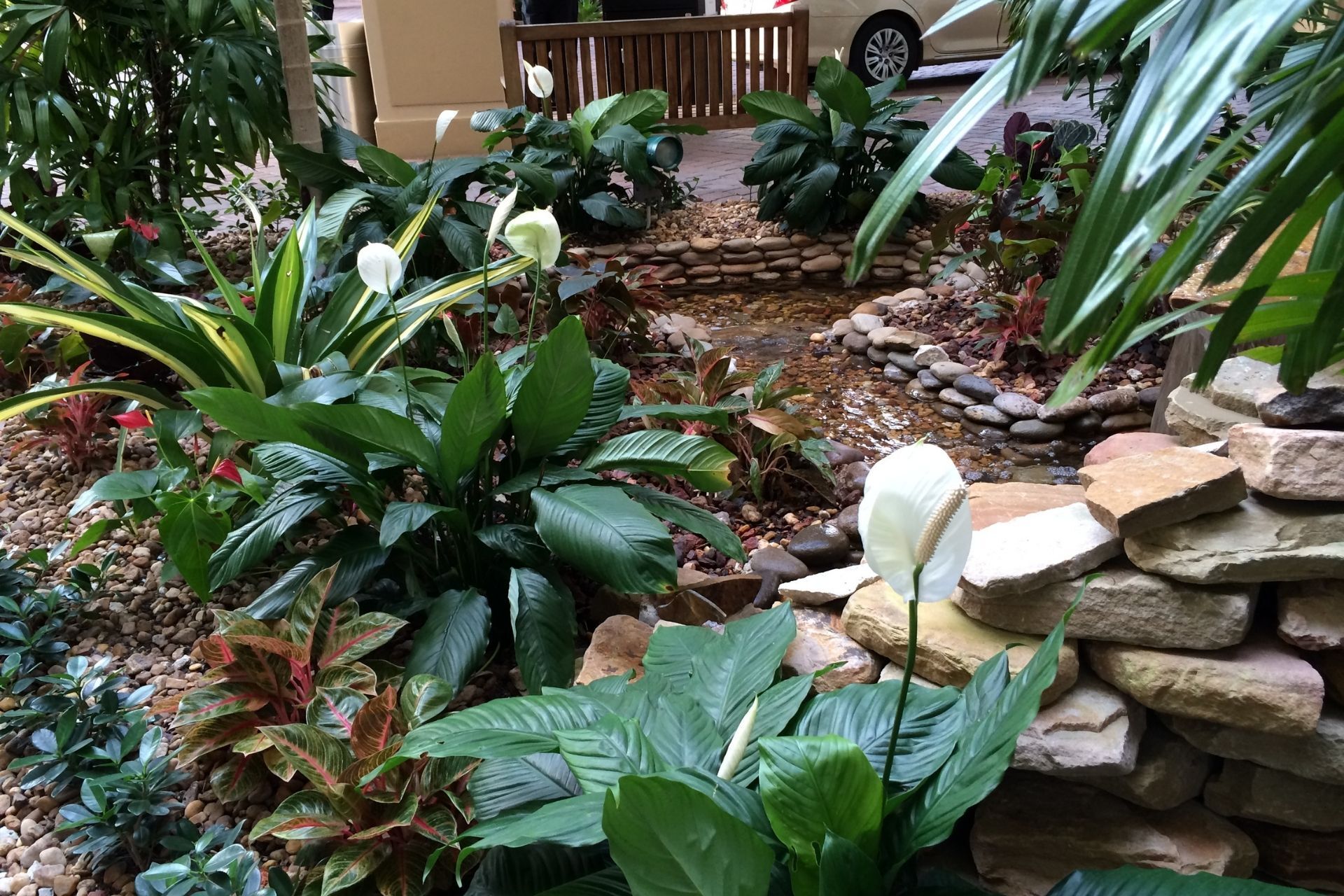 South Florida Landscaping Services | Green Earth Environmental