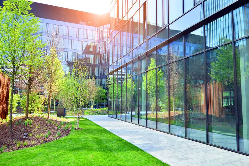 The 7 Principles Of Landscape Design 🌟 What Are They?