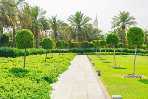 The 7 Principles Of Landscape Design 🌟 What Are They?