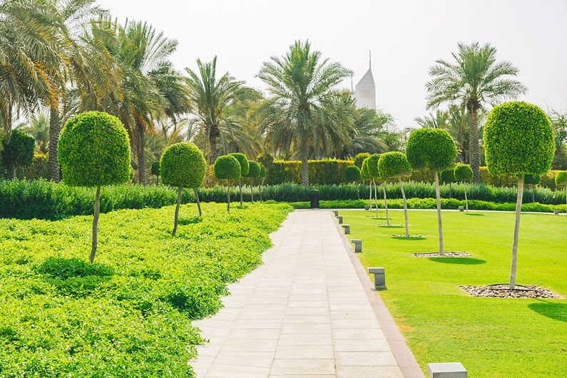 The 7 Principles Of Landscape Design 🌟 What Are They?